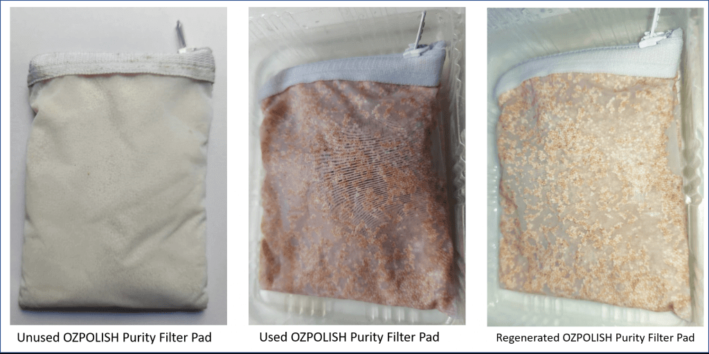 HOW TO Keep The Aquarium Water Clean