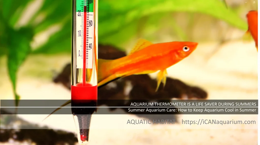 Summer Aquarium Care: How To Keep Aquarium Cool In Summer | OZPOLISH ...